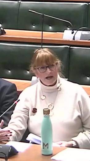 Labour planning chief says 'we are not here to represent the public’ 🤯 What do you think about his comments? #uknews #LabourGovernment #housing | Plymouth Plus