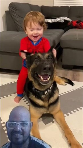 protactive Dog#care#gaming #song #colour#petshorts