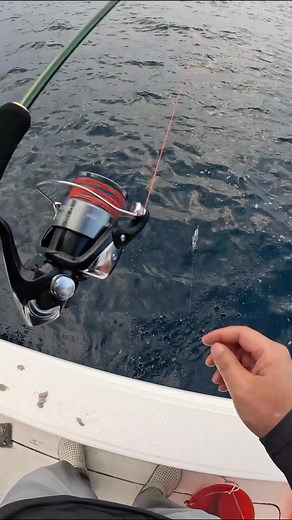 Upgrade to the world’s most advanced fishing lure — powered by bionic AI motion and sonic wave technology to attract predator fish in seconds. 🐟⚡ ✅ AI bionic motion – brings “dead bait” to life ✅ Sonic waves – lure big fish fast ✅ 500m waterproof anti-loss twin-line design ✅ Magnetic charging – fast, effortless power-up 🌐 www.kanama.com | Kanama