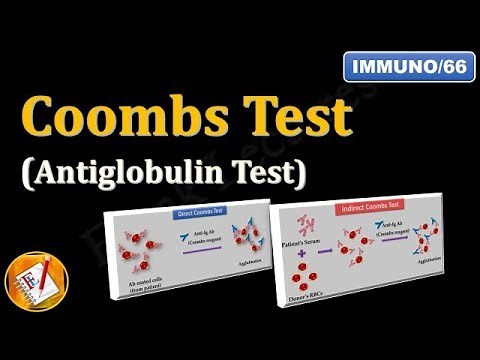 Coombs test (or Antiglobulin Test) (FL-Immuno/66)