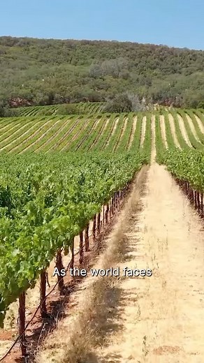 OpenET uses data from Landsat and other @nasa satellites to measure evapotranspiration, the movement of water vapor from plants and soil back into the atmosphere. These data help farmers and resource managers use water more efficiently and better plan irrigation. 🧑‍🌾 🌾 OpenET is freely available at OpenETdata.org. Video Description: This video starts by showing irrigation and crops being watered, while then transitioning to a shot of the OpenET logo above a large expansive farmland. A recordi