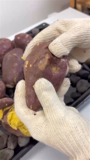 YonoImo/ヨノイモ on Instagram: "🍠人気No.1"スイートポテト"ができるまで めっちゃ高速にするとこんな感じの道のりでスイートポテトを作っています！ YonoImoの美味しさがギュッと詰まった一品、ぜひご賞味ください！ 出店中↓ エキマルシェ大阪 12/12(金)〜12/21(日) 11:00〜21:00 最終日は11:00〜20:00 #石焼き芋 #焼き芋 #芋 #焼き芋スイーツ #スイートポテト #紅はるか #紅あずま #yonoimo #芋パイ"