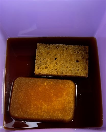 @hawaii_pineanyting94 on Instagram: "Pine Bucket✨ What’s better than squeezing a pine bucket?…. Squeezing someone Else’s pine bucket‼️ 😂☺️🥰 @sudsysusu out here making dreams come true 🙌🙌🥰🥰She gifted me her pine bucket & I drove with that bucket home with the lid off,seatbelt on & music loud🤣🤣 & she lives a whole mountain away😂. Thank you for this AMAZING Pine Bucket sissy I love it too much😍😍I will be adding to it often🤞✨ I wanted to try different sponges that had different textures 