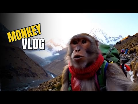Create a Talking Monkey Vlog with AI – Step-by-Step Tutorial