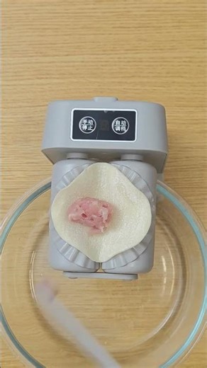 PERFECT Dumplings Made with a Dumpling Machine!! #review