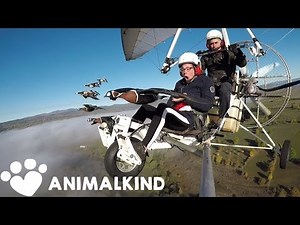A flying experience unlike anything we've ever seen before | Animalkind
