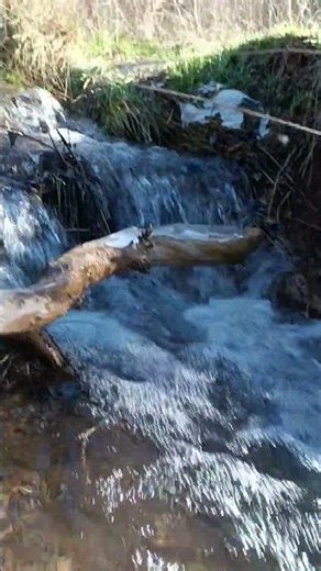 A CLEAR STREAM WITH RELAXING WATER FLOW#youtubeshorts #shorts #outdoorcooking