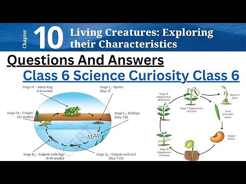 Living Creatures Exploring Their Characteristics | Class 6 Science Chapter 10 Questions Answers |