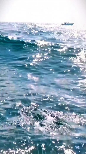 Exciting Flying Fish Lure Fishing Adventure in the USA