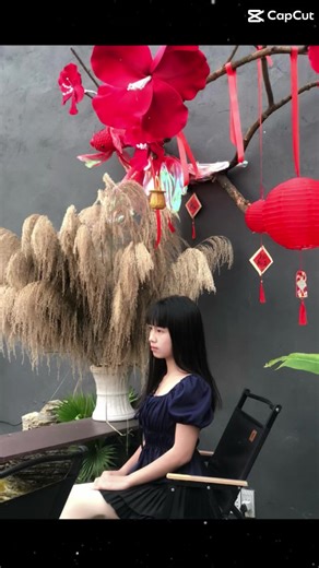 💗💗💗#ilovetiktok#xh#tet2026@.