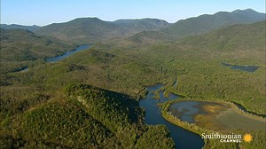 7.3K views · 180 reactions | New York is famous for the bustling Big...