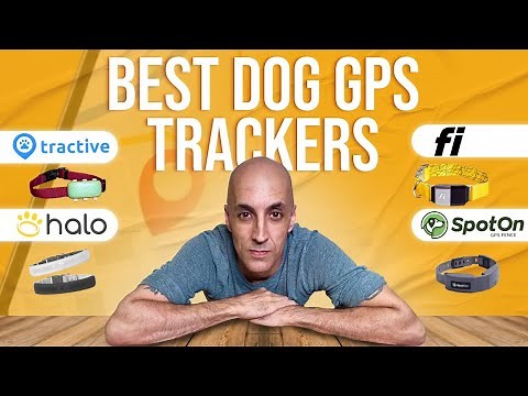 Best Dog GPS Tracker in 2024 [I Tested All of Them]