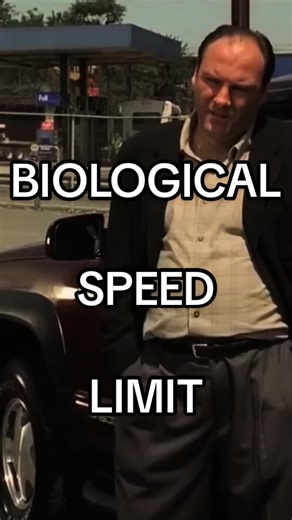 You don’t go from 150-180 lbs over night, it takes years, yes steroids expedite this process. People grossly overestimate how much muscle they build/have, how lean they are, how many calories they burn, be realistic or be prepared to face the consequences. Traditional bulking and cutting is used as a marketing scheme for coaches to make it seem like what they do is the best thing since sliced bread, con artists. You don’t need to push 50-60 lbs above stage weight to gain a measly 2lbs of DRY CON