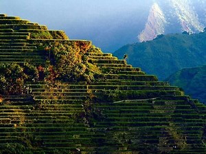 Rice Terraces of the Philippine Cordilleras - Alchetron, the free social encyclopedia