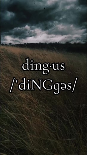 Understanding the Definition of Dingus and Its Informal Usage