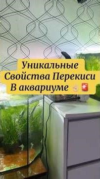 4 Unique Properties of Hydrogen Peroxide in an Aquarium