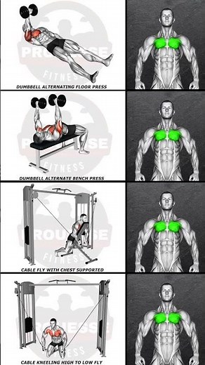 “Chest Workout 🔥 Build a Full, Strong and Aesthetic Chest with Precision & Perfect Form”