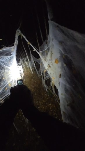 Haunted Trails. Live Fire. Total Darkness. This past weekend’s Halloween Tactical Pistol Class brought out the brave! Here’s a look at one of our clients working through our live-fire haunted trail — in total darkness, surrounded by monsters, spider webs and spooky sounds… At Liberty Firearms Academy, we’re one of the only training facilities in the country that turns the range into a haunted, live-fire tactical experience every Halloween. Every step tests your focus, control, and composure unde