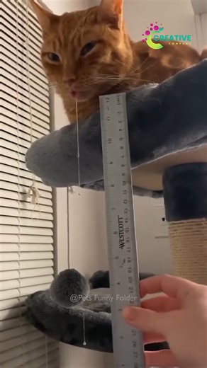 Creative Company on Reels