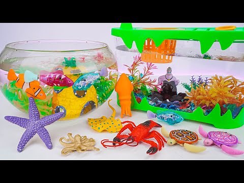 [🐟toy asmr🐠] Zuru Robo Turtle ＆ Sea Animal Toys ＆ Fish Tank Playset ASMR 🐚 Satisfying with Unboxing
