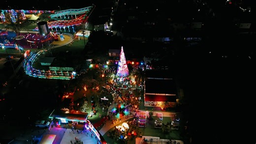 161K views · 592 reactions | ✨ Christmas Tree Lighting Highlights at...