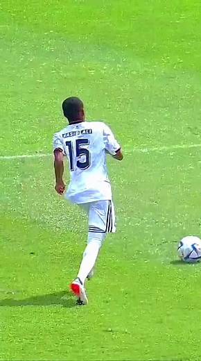 the_official_magnoliaarts on TikTok