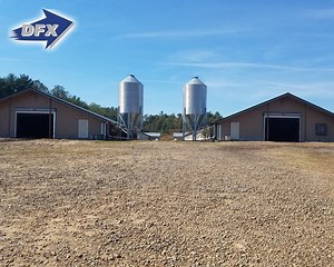 [Hot Item] Qingdao Steel Structure Poultry Chicken Farm Building House for 10000 Chickens