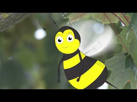 First-Time Rider Safety Resources