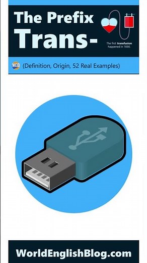 The Prefix TRANS #shorts