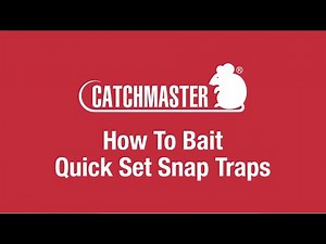 How To Bait Quick Set Snap Traps