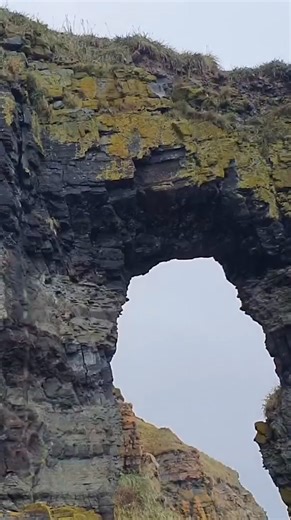 2.9K views · 154 reactions | You won’t find cafés or comfort here. People come for something else — to meet the sea, the silence, and themselves. And sometimes, to see whales just an arm’s length away. | Future Russia | Facebook