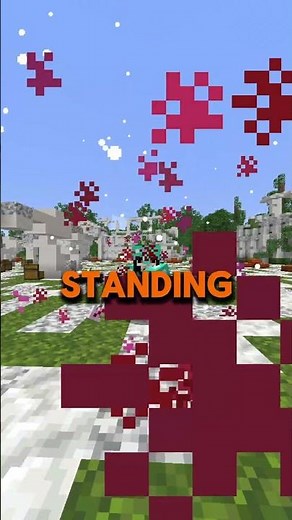 Minecraft's BEST Custom SMP & Events Server in 2025! #minecraft #minecraftsmp #smp