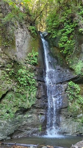 2.1K views · 65 reactions | Happy Waterfall Wednesday!! unedited Maple Falls, The Forest of Nisene Marks State Park, CA ✨️ (10/4/25)  - Yearround  $8- dayuse  - 6-miles out/back; 650 ft gn. ☺️ - Beautiful #waterfall #waterfallwednesday #photography #soothing #peaceful #beautiful #california #hangoverfree #SantaCruz | Irene Koutny | Facebook