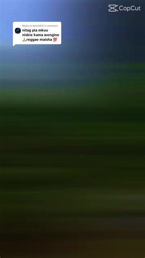 Discover the Heart of Reggae Music Culture