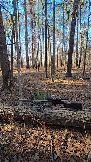 17hmr howa M1100 #review #outdoors #views