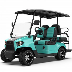 [Hot Item] 4 Seat Farm Utility Lead-Acid 4 Passengers Cargo Golf Cart Mini Electric Golf Carts