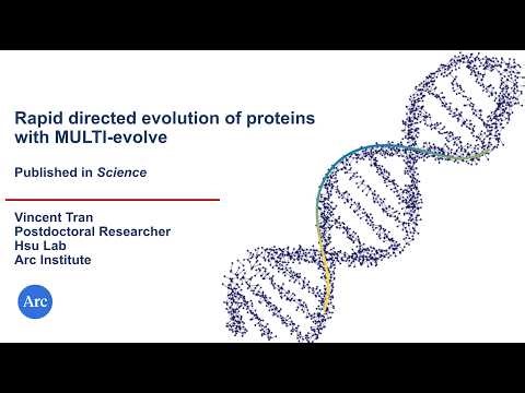 MULTI-evolve: Rapid directed evolution guided by protein language models and epistatic interactions.
