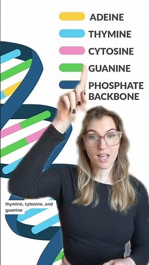 Learn the Structure of DNA!