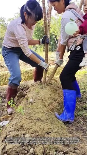 "2 Girls Teamwork to Harvest Cassava 🌾 | Smart Farming Hack You Must Try!"