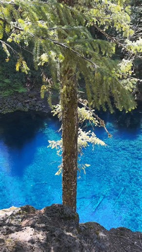 Tamolitch Blue pool - This is one of the most popular hikes in Oregon The pool is so crystal clear you can see to the bottom of most of the 30-foot (9.1 m) deep waters. 🎥 oregonnichole / TT | Best Destinations To Travel