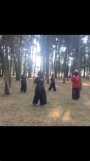 #gumdo #haidonggumdo #martialarts #kumdo #sword #sable #jingum #blade #hwarang #sonbae #koreansword