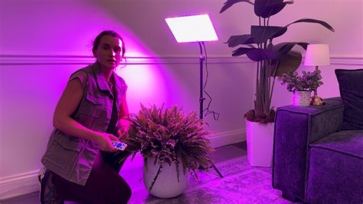 Watch LED Grow Lights for Indoor Plants on Amazon Live