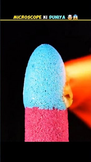 How things look under a microscope 😱 🤯