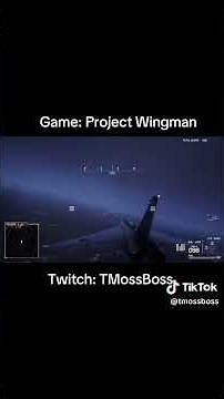 PROJECT WINGMAN GAMEPLAY!! ✈️✈️✈️