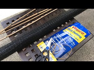 THE MOST EFFECTIVE WAY TO KEEP SQUIRRELS FROM DIGGING PLANTS