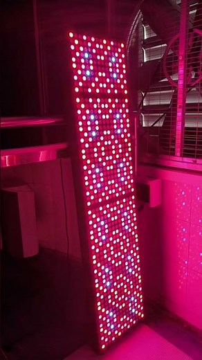 Large Red Light Panel - truly FULL BODY red light therapy panel #redlighttherapydevice