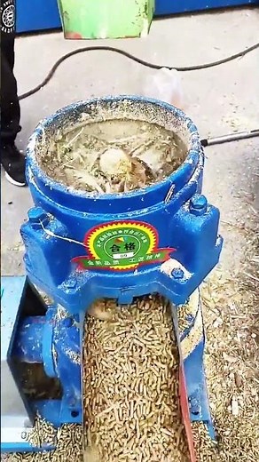 #fcnfm #feedpelletmachine Step-by-Step Maintenance for Longevity of Your FCNFM Flat Die Pellet Mill