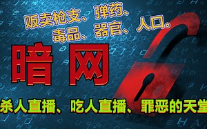 带你一次性彻底弄清楚“暗网”的前世今生，但是请永远不要访问！