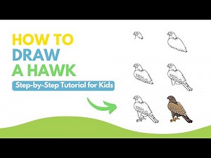 How to Draw a Hawk - Step-by-Step Easy Tutorial for Kids & Beginners