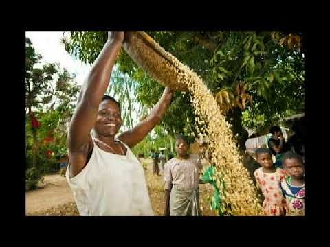 Winnowing & cleaning (English)